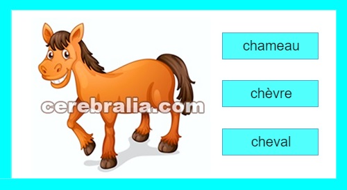 🥇【 QUIZ SOBRE LOS ANIMALES EN FRANCÉS 】 ️