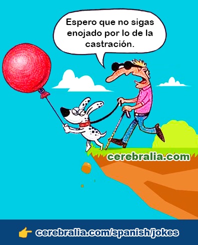 🥇【 FUNNY JOKES ABOUT ANIMALS IN SPANISH 】 ️ 🤣 🤣 🤣